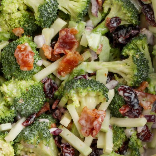 Cranberry Broccoli Bacon Salad - Vegetable Recipes